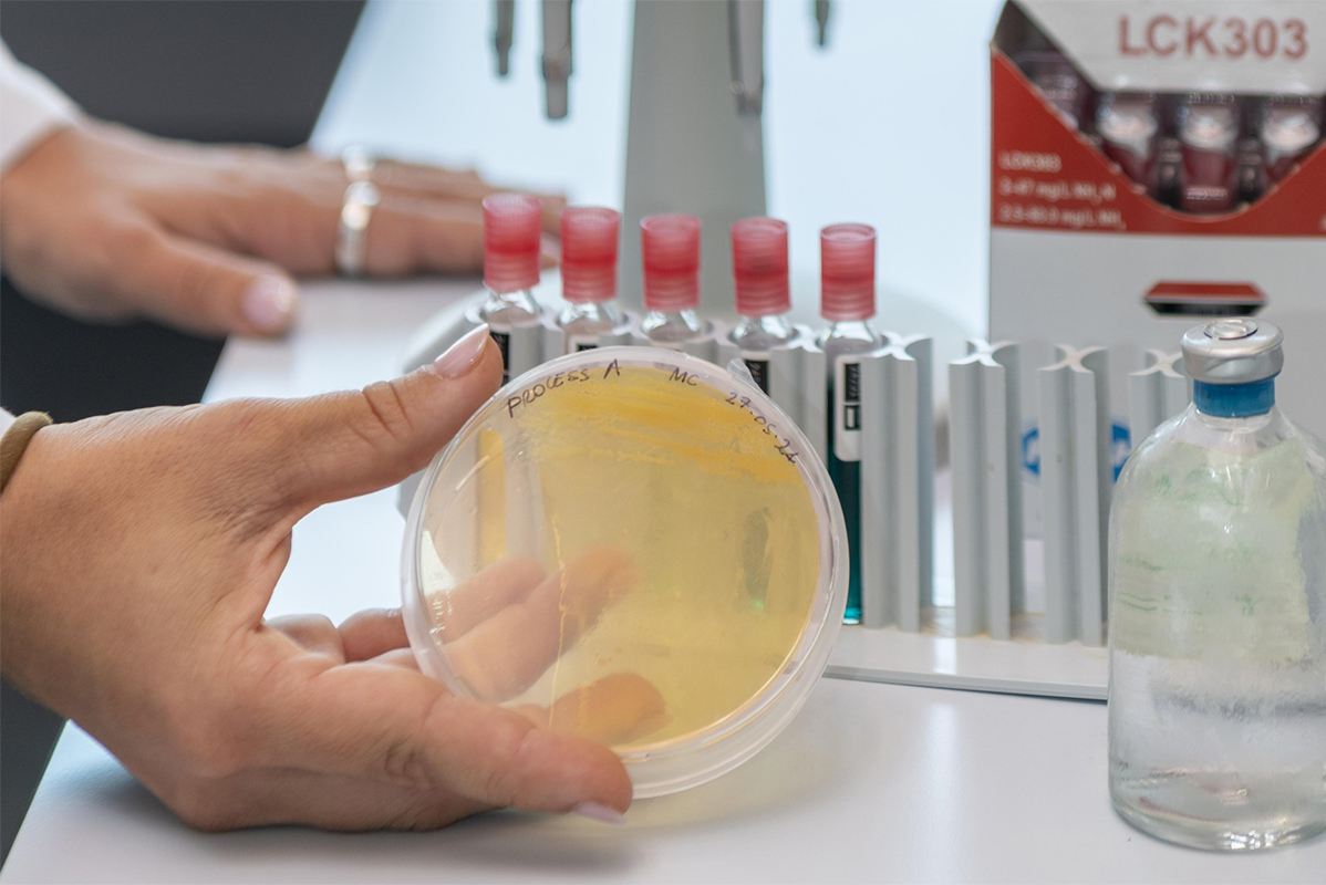Bacteria turn CO₂ into stone – INNOVATIVE MATERIALS