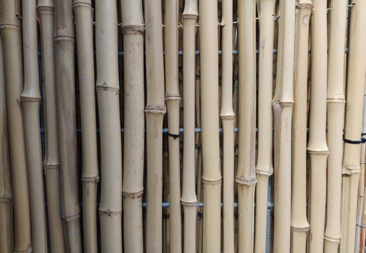Pushing boundaries with bamboo – INNOVATIVE MATERIALS