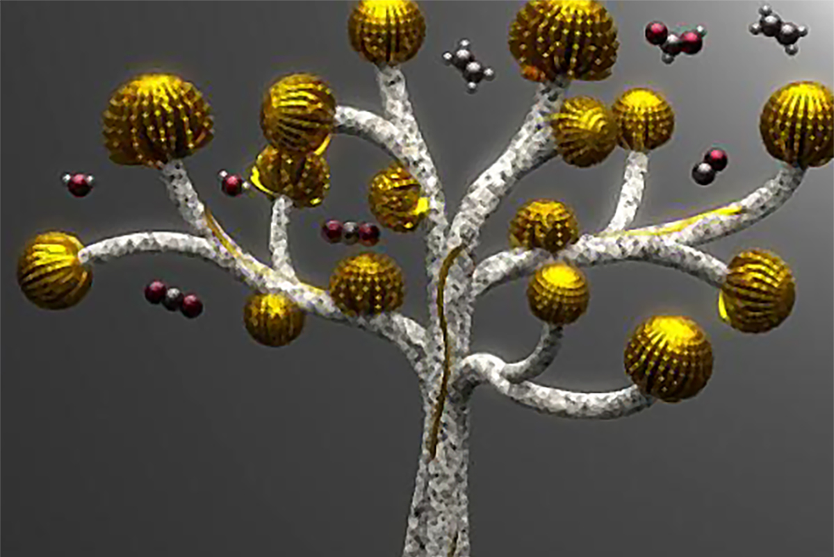 Copper Nanoflowers Use Sunlight to Convert CO₂ into Hydrocarbons ...