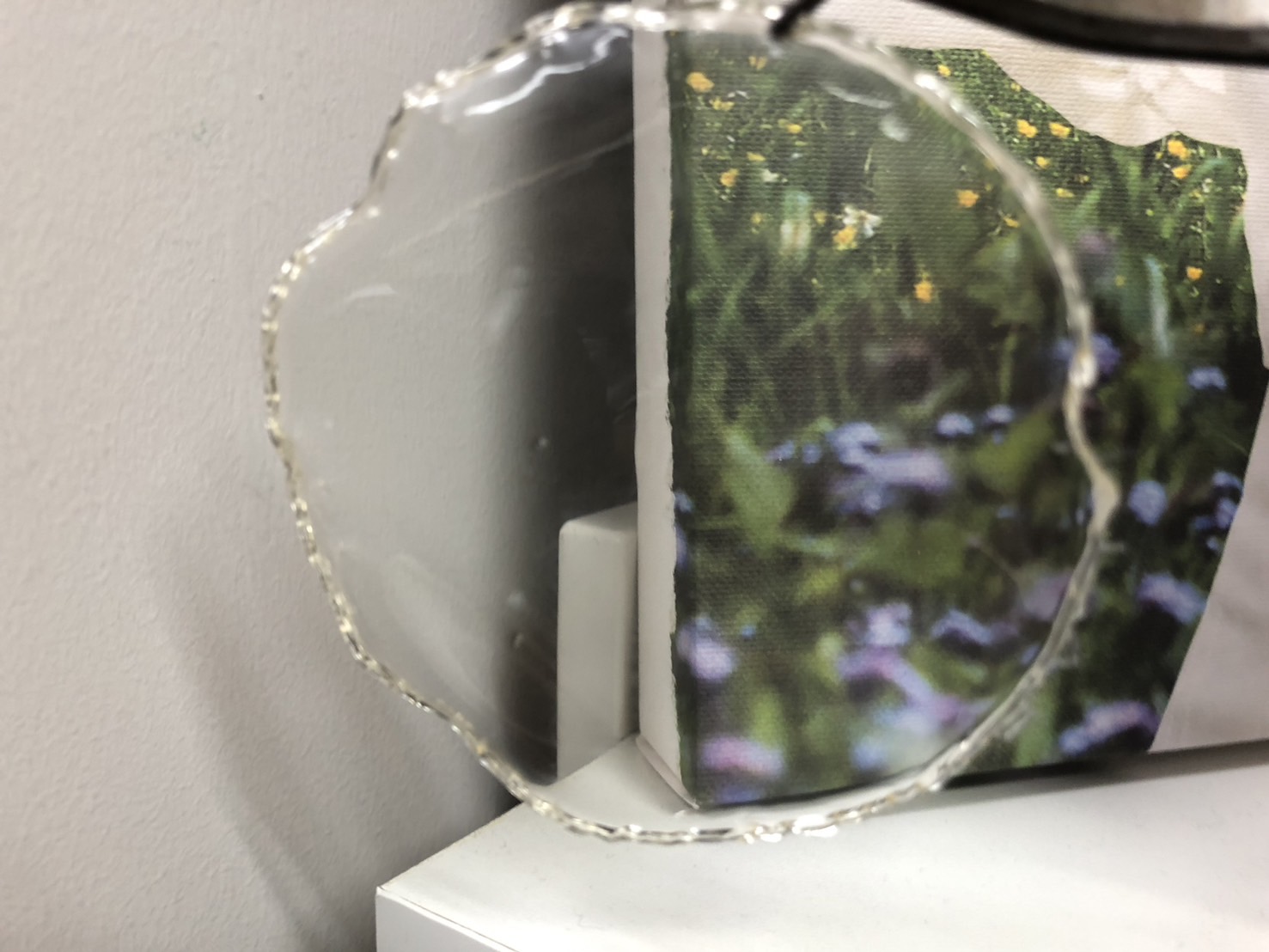 New route to recyclable polymers from plants – INNOVATIVE MATERIALS