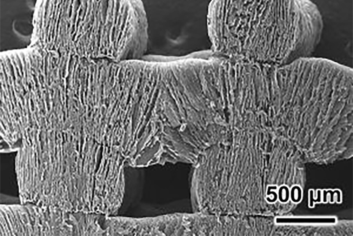 Spongy Material and Solar Power Remove Salt from Seawater – INNOVATIVE ...