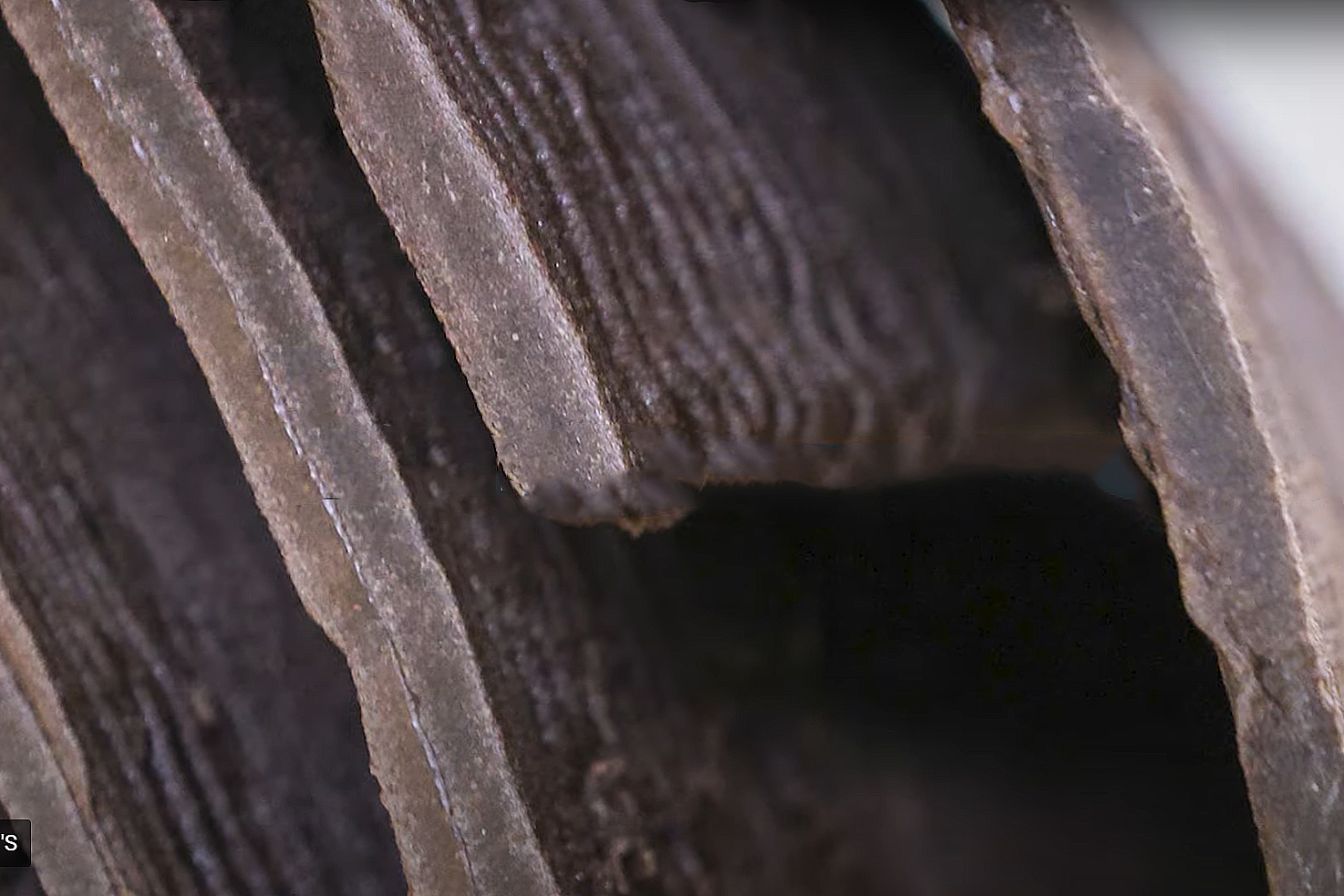 New eco-friendly composite for 3d-printed bat roosts – INNOVATIVE MATERIALS